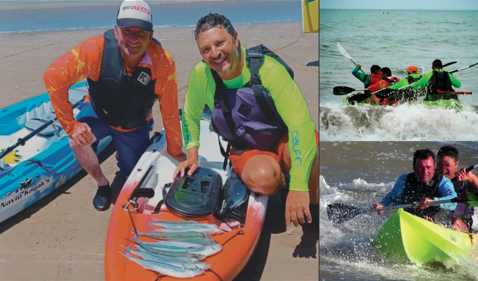 MDQTEAM – Tienda mdqteam