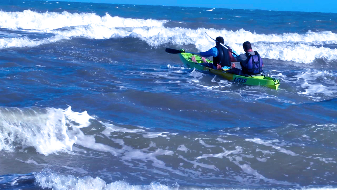 MDQTEAM – Tienda mdqteam