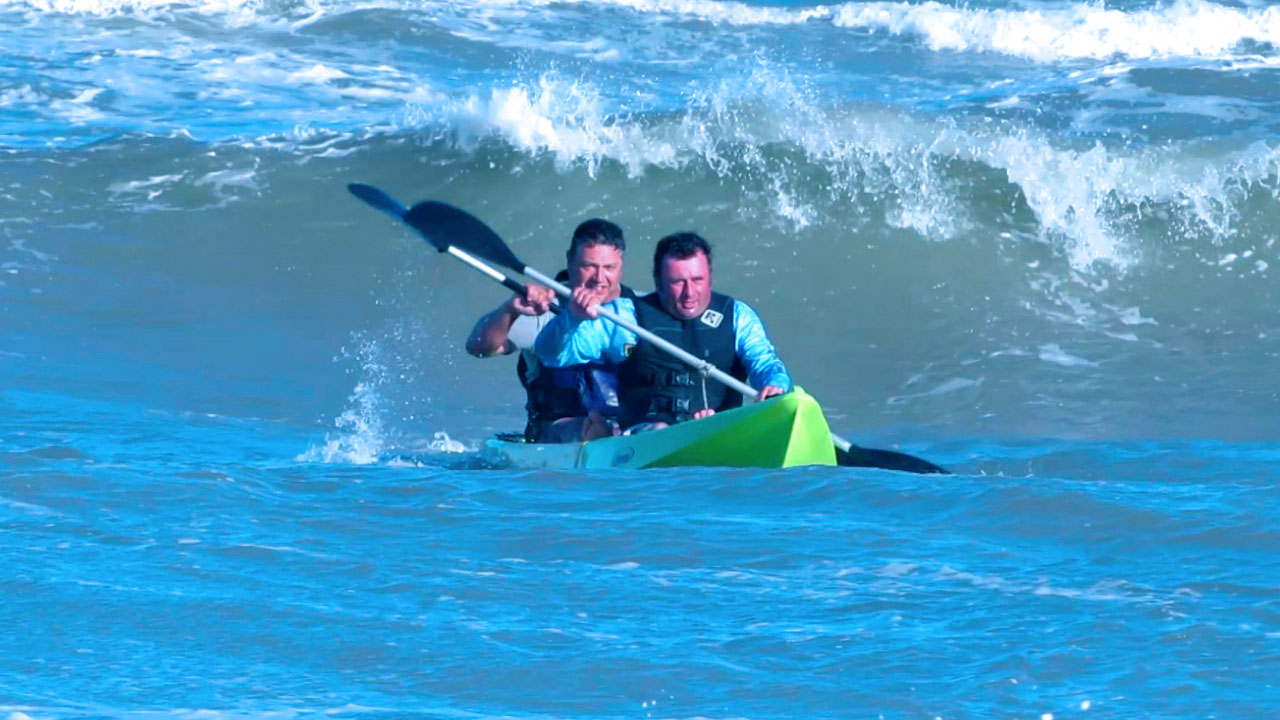 MDQTEAM – Tienda mdqteam