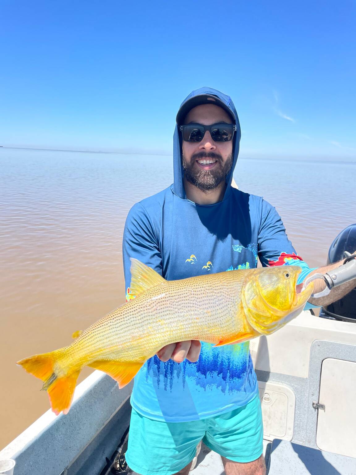 Remeras OFICIALES MDQ-Team (envío gratis a todo el país) – MDQTEAM